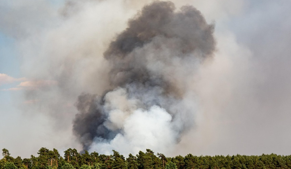 Exercise caution when driving into the smoke from a veld fire | Blog ...